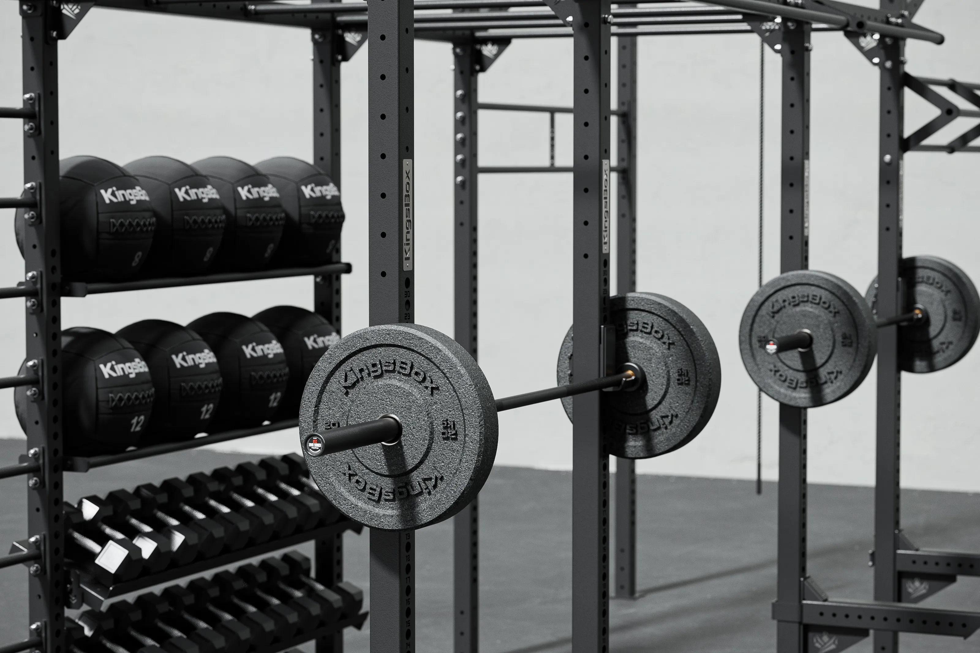 Mighty Phoenix Rig – Custom Gym Rig with Storage & Monkey Bars | KingsBox