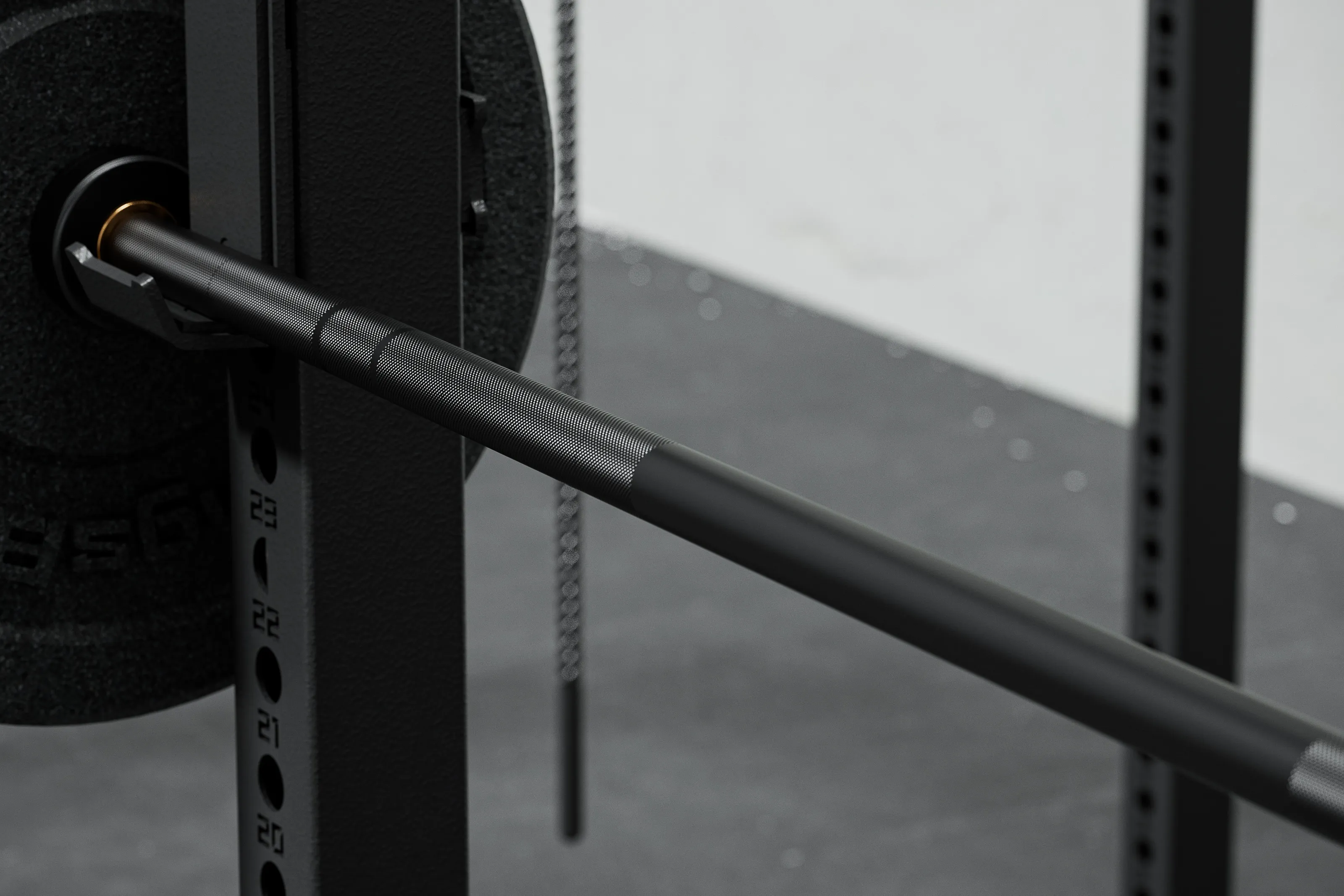 Mighty Phoenix Rig – Custom Gym Rig with Storage & Monkey Bars | KingsBox