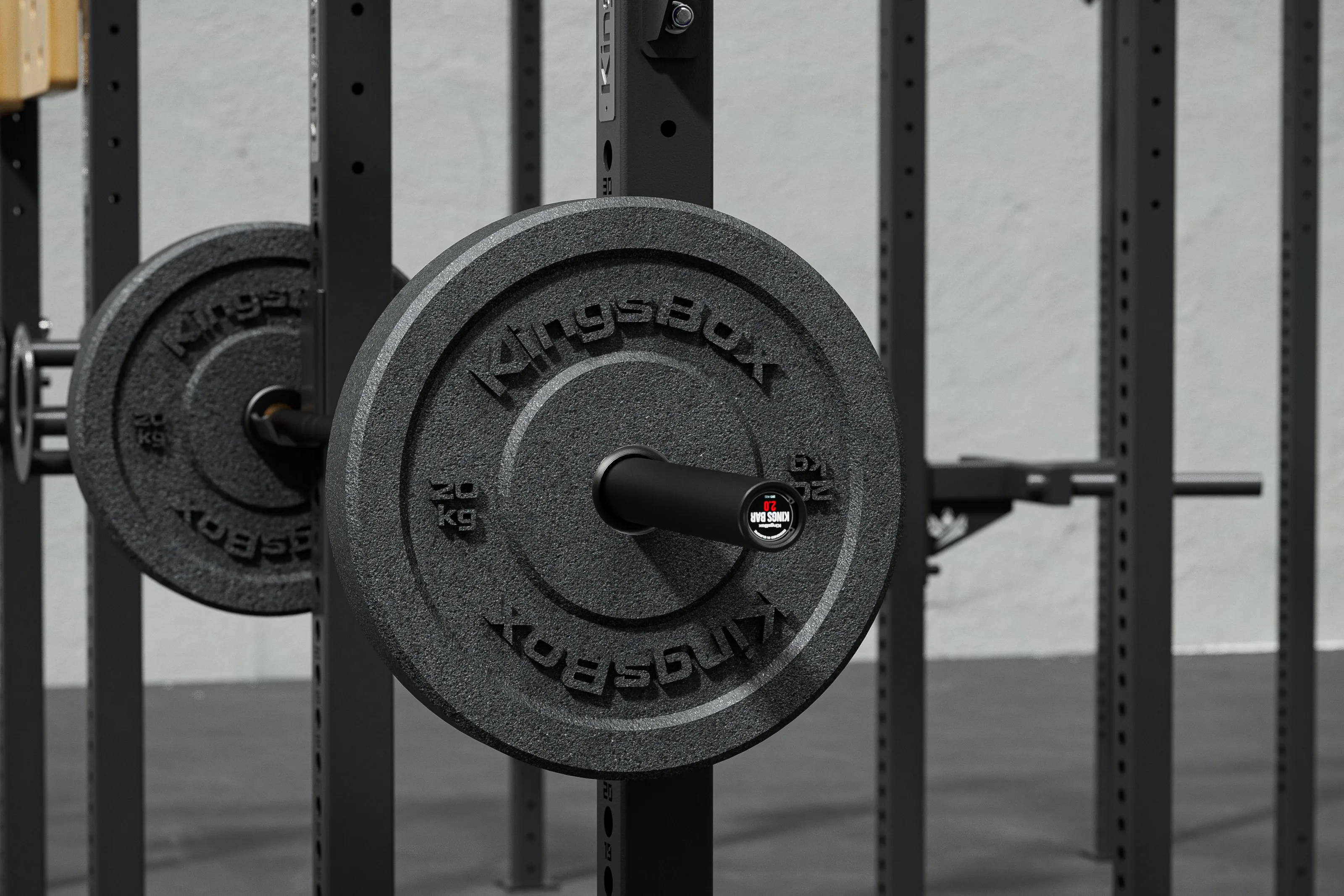 Mighty Thunder Rig – Large-Scale Modular Gym Rig for Functional ...