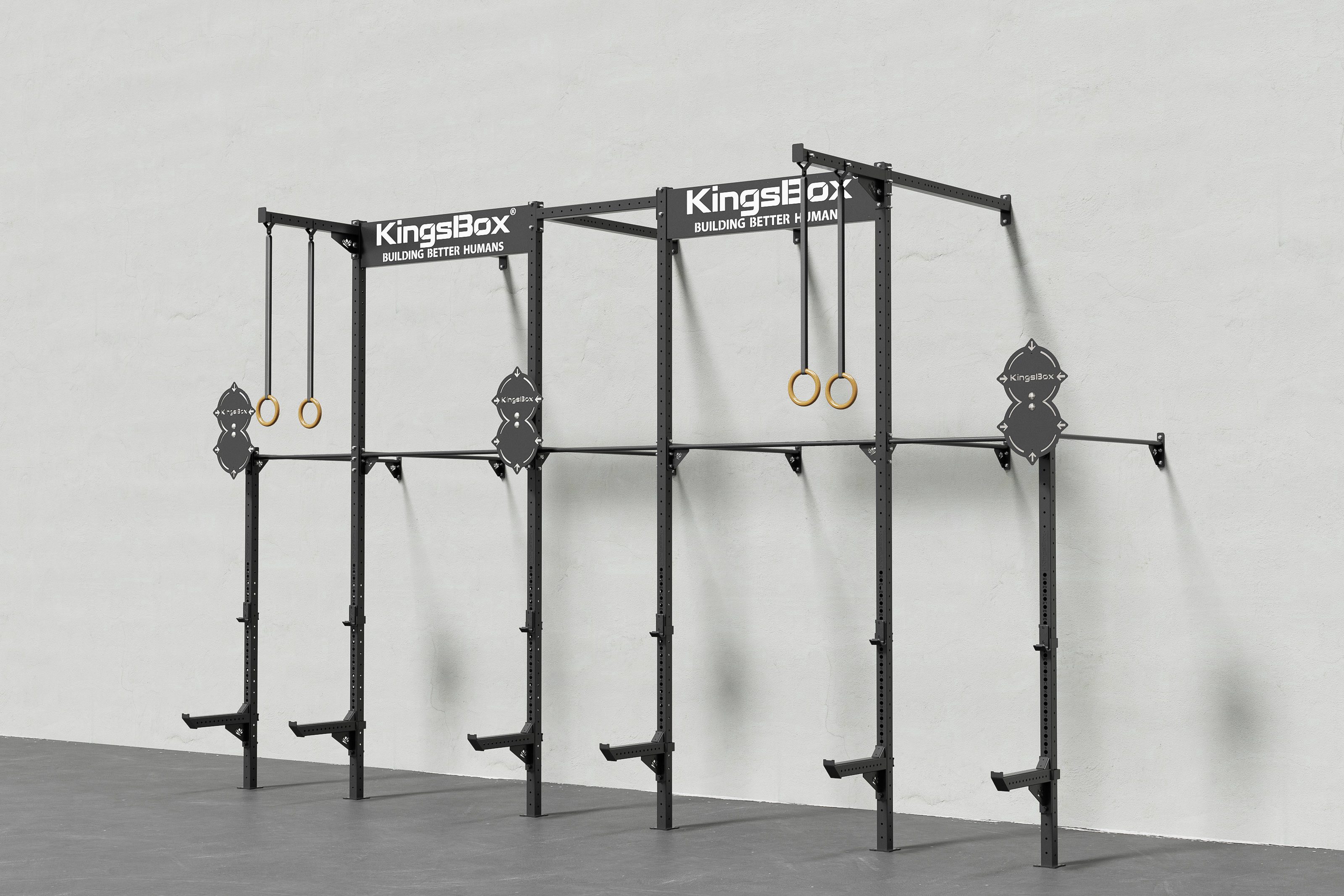 Mighty Empire Rig – Rig de gimnasio montado en pared con estaciones de ...